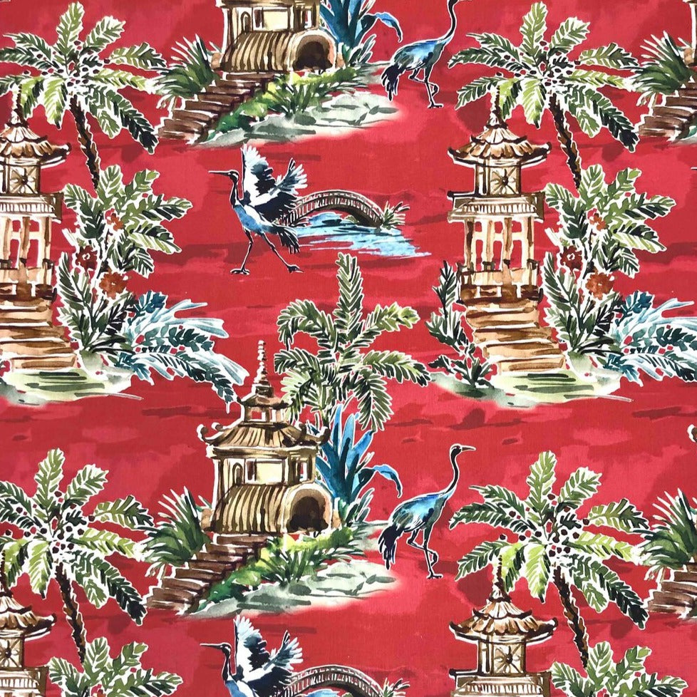 Emperor Ruby – Zimman’s